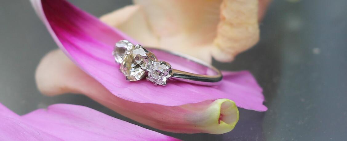 Diss Auction Rooms - TW Gaze